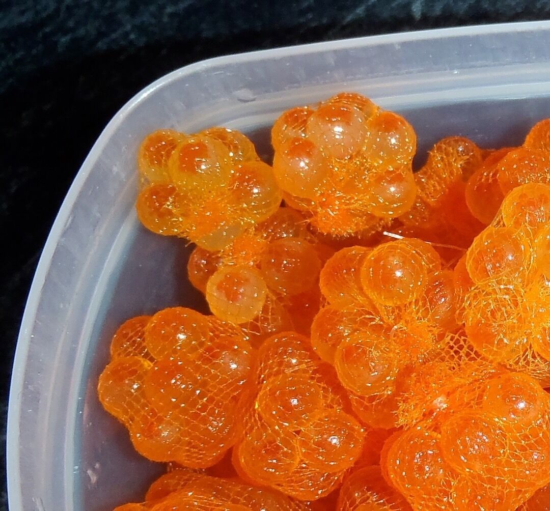 Curing Salmon Roe for Bait or Caviar - Island Fisherman Magazine